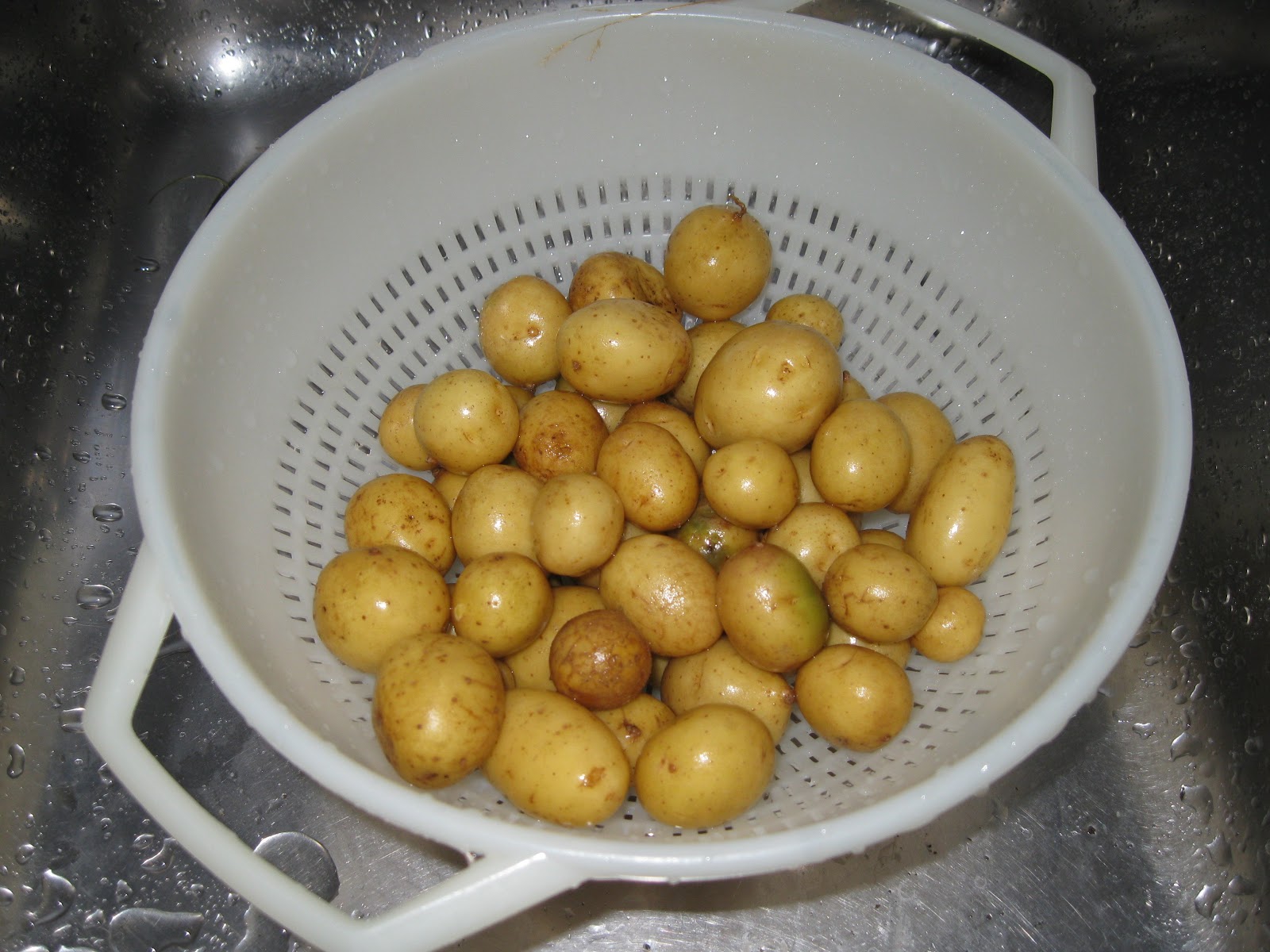 digimages: Min sista potatis