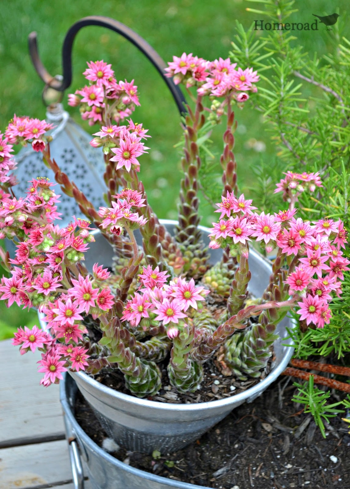 Mother Nature's Awesome Art Project