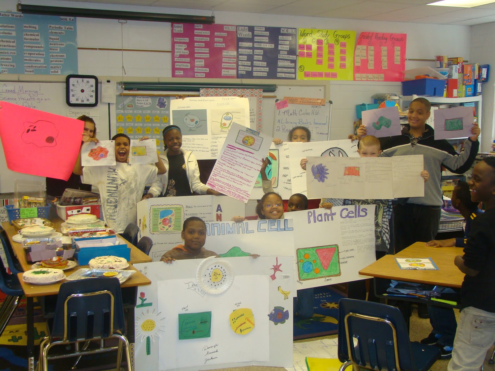 Mrs. Appleton's 5th-Grade Class: Science Projects On Plant And Animal ...