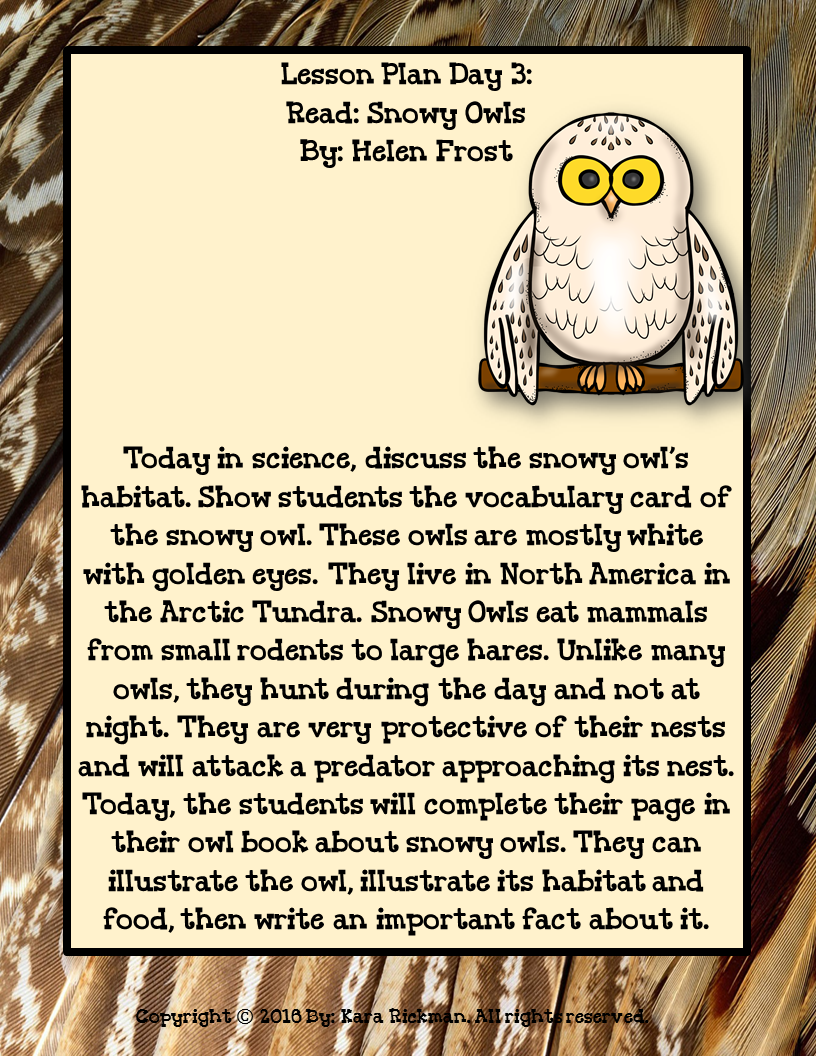 Create Your Balance With Literacy