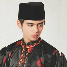 Profil Dan Biodata Lengkap Aliando Syarief - BIOARTS