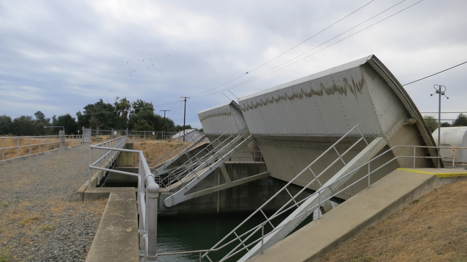 Thrift Shop Commando: Doing the Delta and celebrating Plaidurday