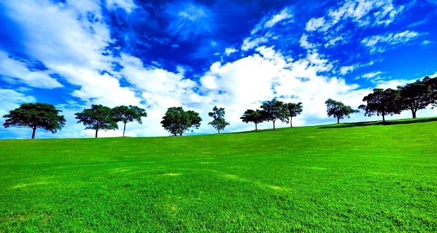 El Espejo Gótico: «La pradera verde»: H.P. Lovecraft; relato y análisis