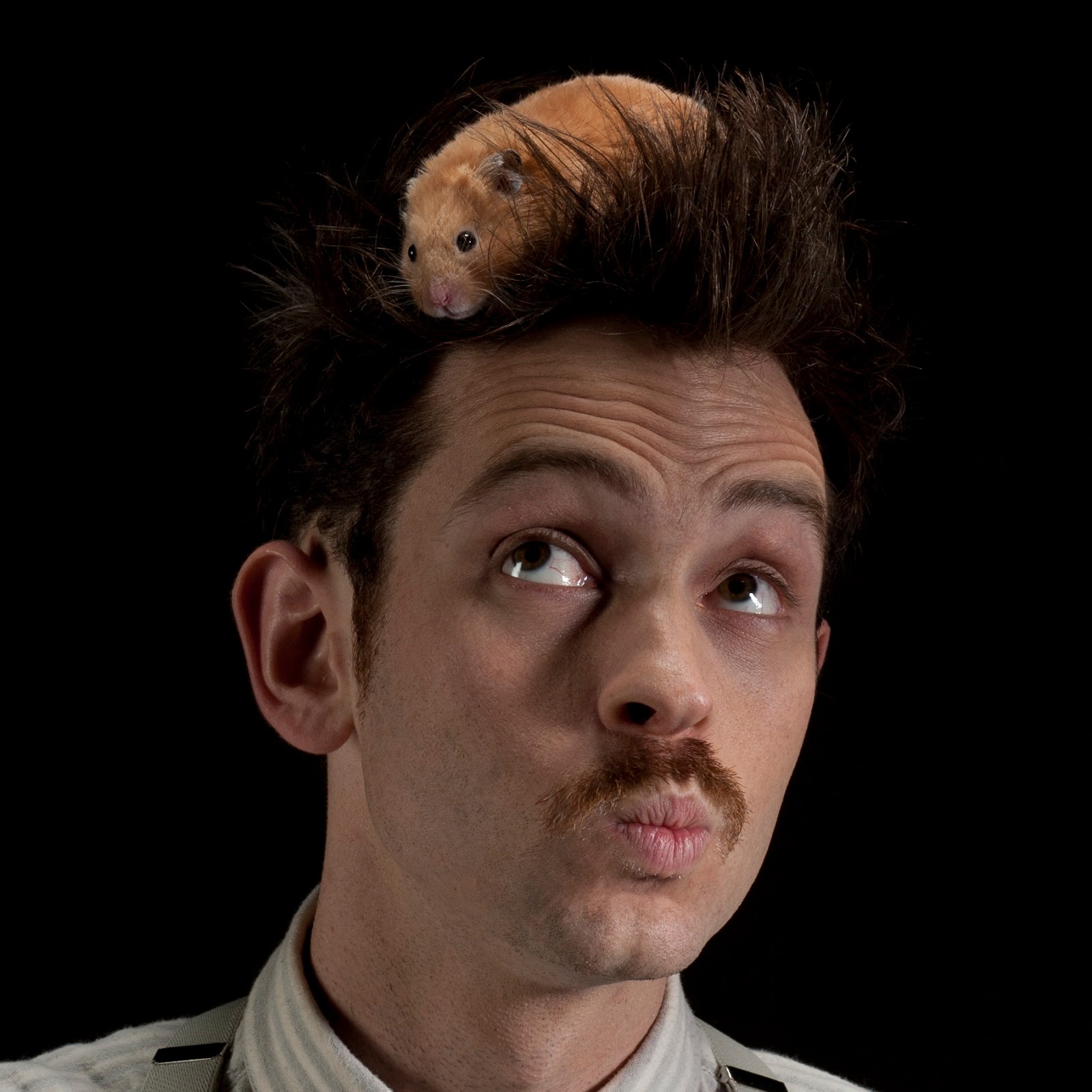 All Fall Down: The Craft & Art of Physical Comedy: Rube Goldberg ...