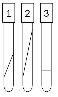 Marine biology lectures and activities: Laboratory Exercise No 4 ...