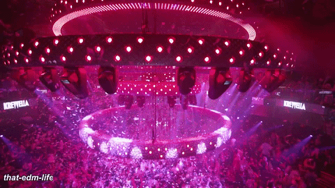 Music Fan Fest | Animated Gif - Fox Press™