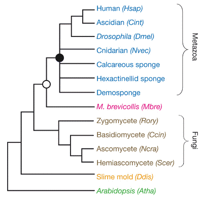 Learner, Reader, Writer: What on Earth is Taxonomy?
