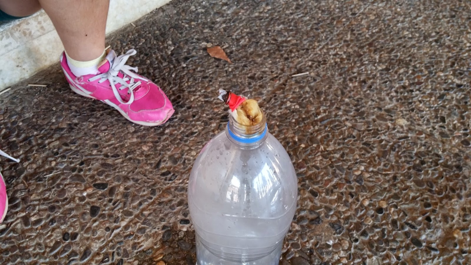 TERCER CICLO 2014-2015: LA BOTELLA FUMADORA