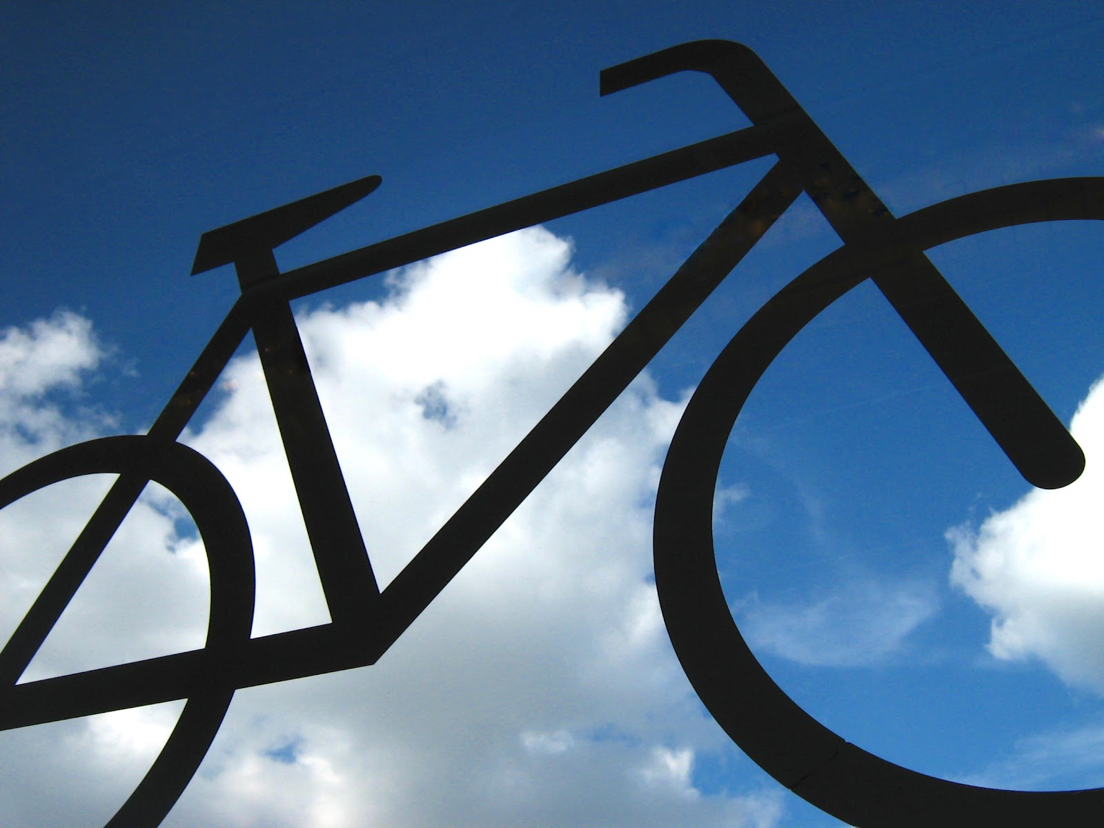 The Study Guide: Bicycling Basics