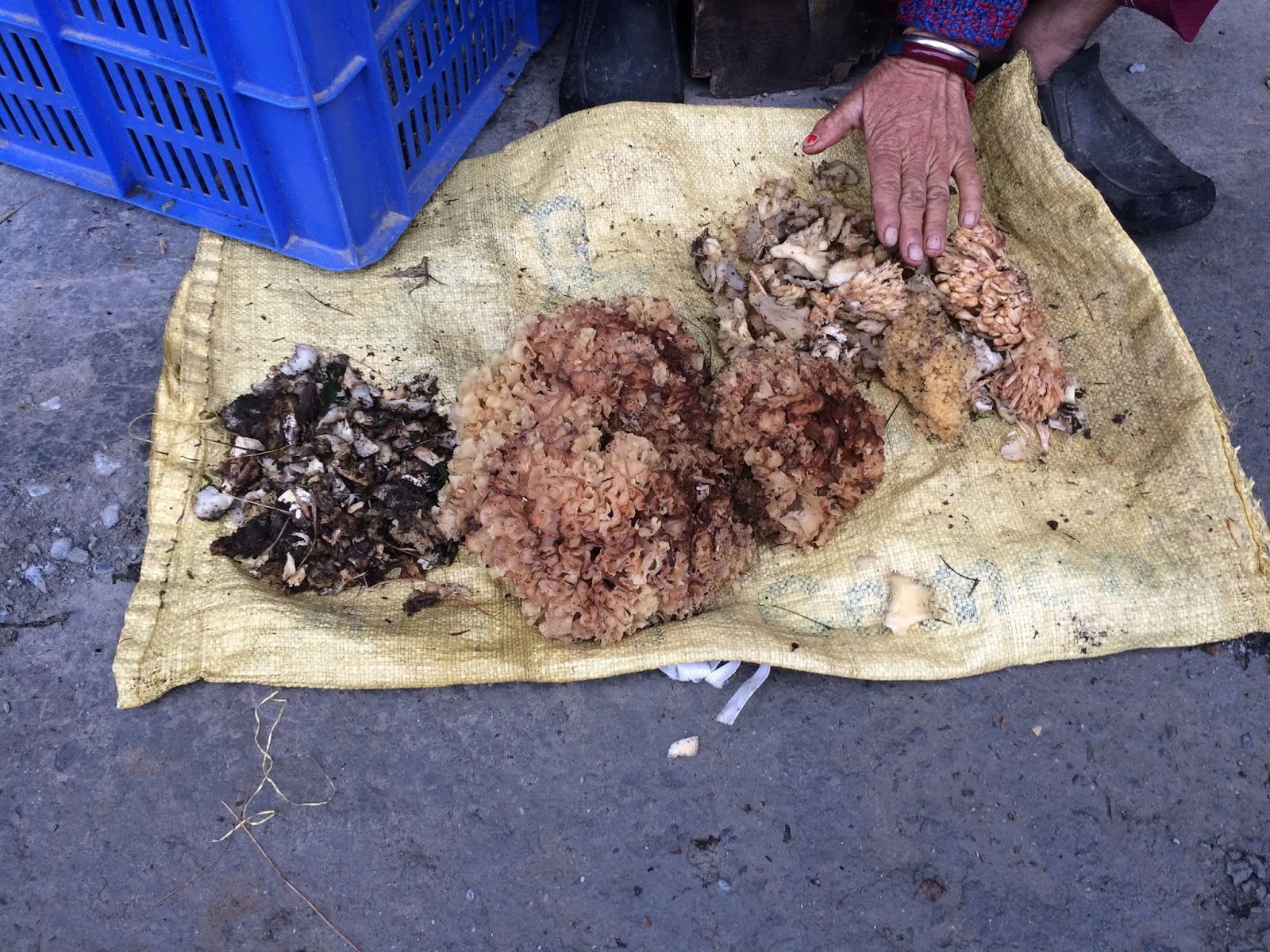 Chaupal, Himachal Pradesh