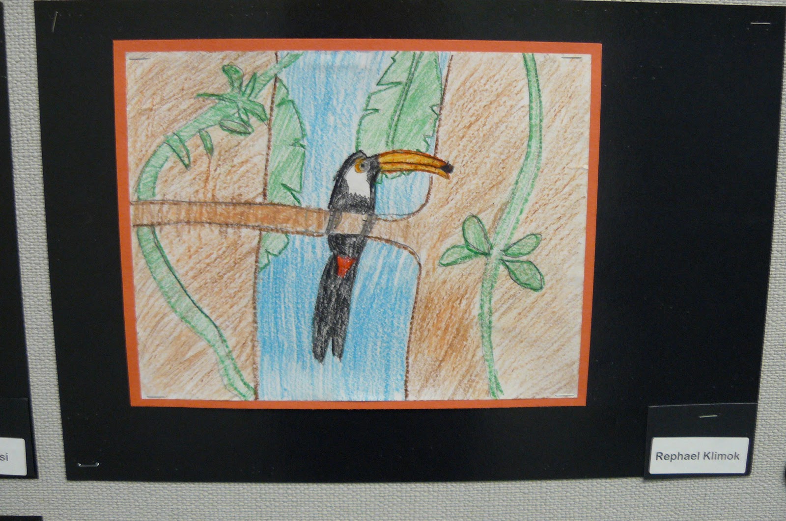 Learning in Room 206: Toucan Directed Drawings