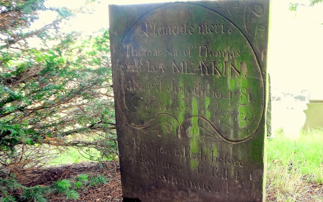 Staffordshire Photo: 01/12/2013 - 01/01/2014