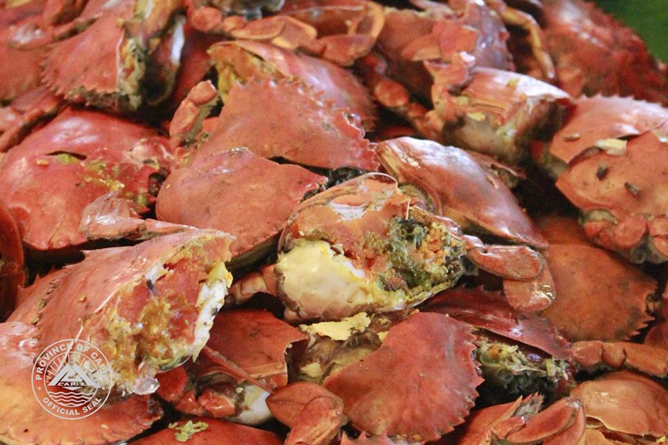 #CAPIZtahan2017 to showcase Capiz’s best