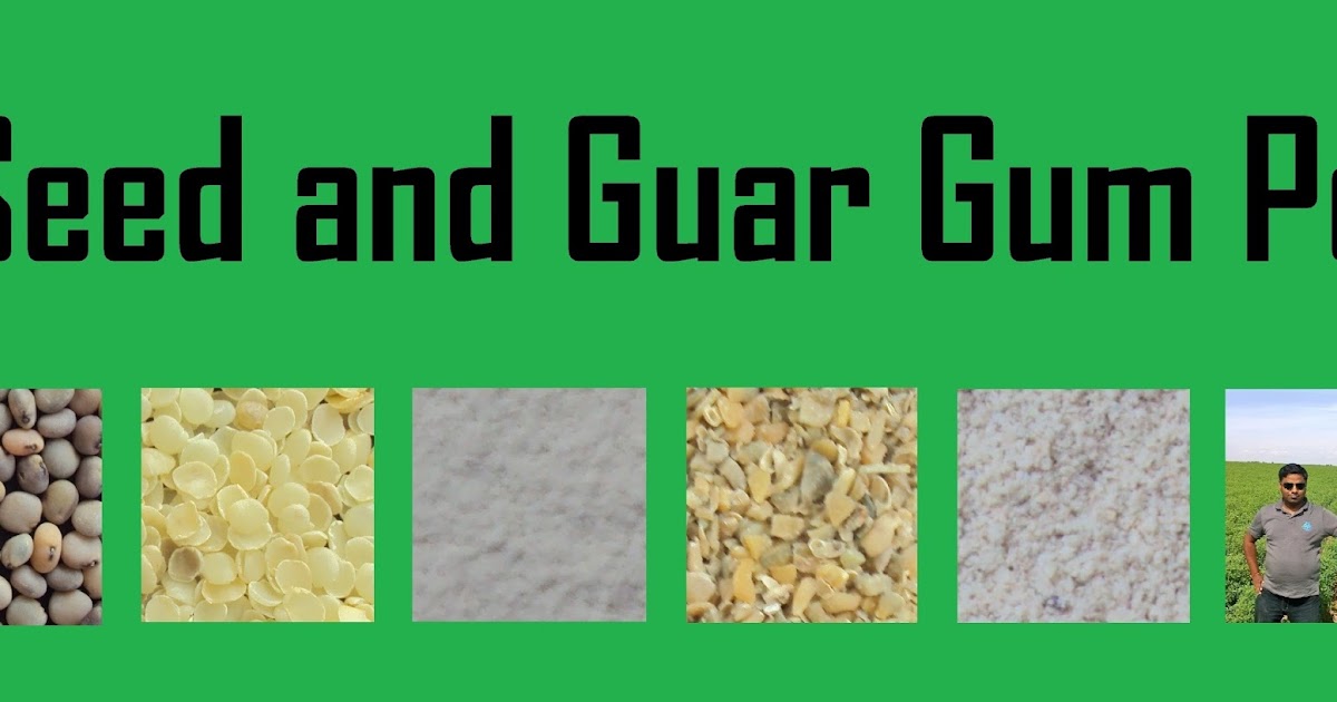 GUAR GUM INFORMATION AND GUAR GUM CULTIVATION IN INDIA: Guar Gum seed ...