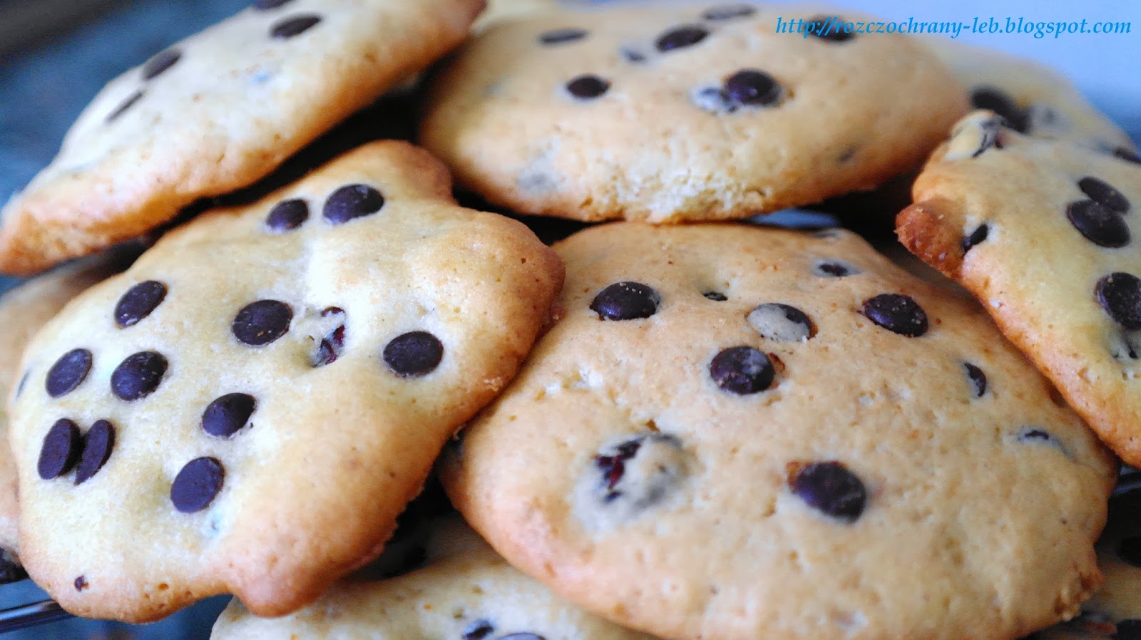 Rozczochrany Łeb!: Pieguski, czyli ciasteczka z żurawiną i czekoladą