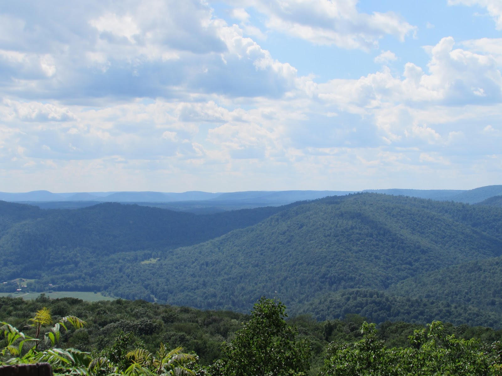 Amazing High Knob Overlook in Summer | Interesting Pennsylvania and Beyond