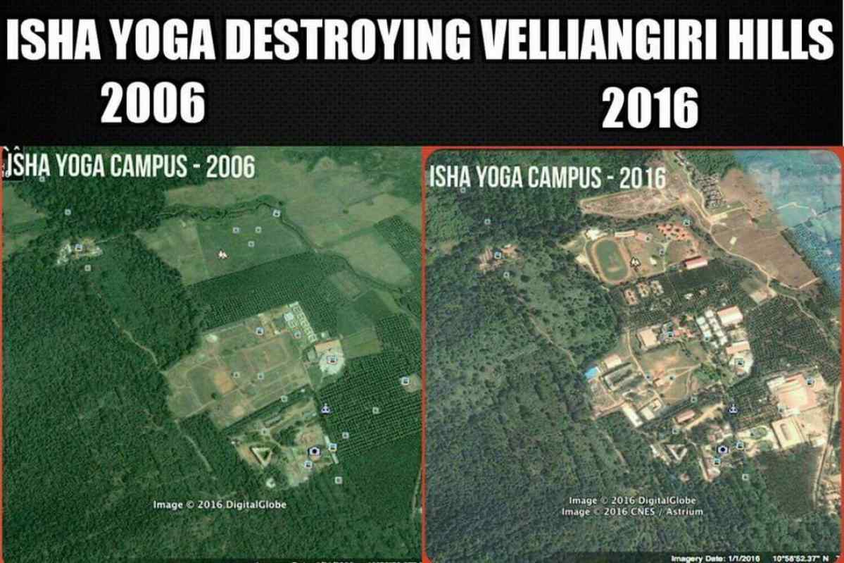 Thinking: Shocking Truth behind Isha's Deforestation allegations?