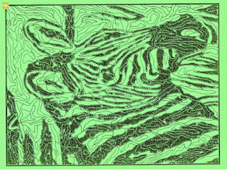 Tim Tang Solutions: Tim Tang Test - Spoilers, Answers, Walkthrough ...