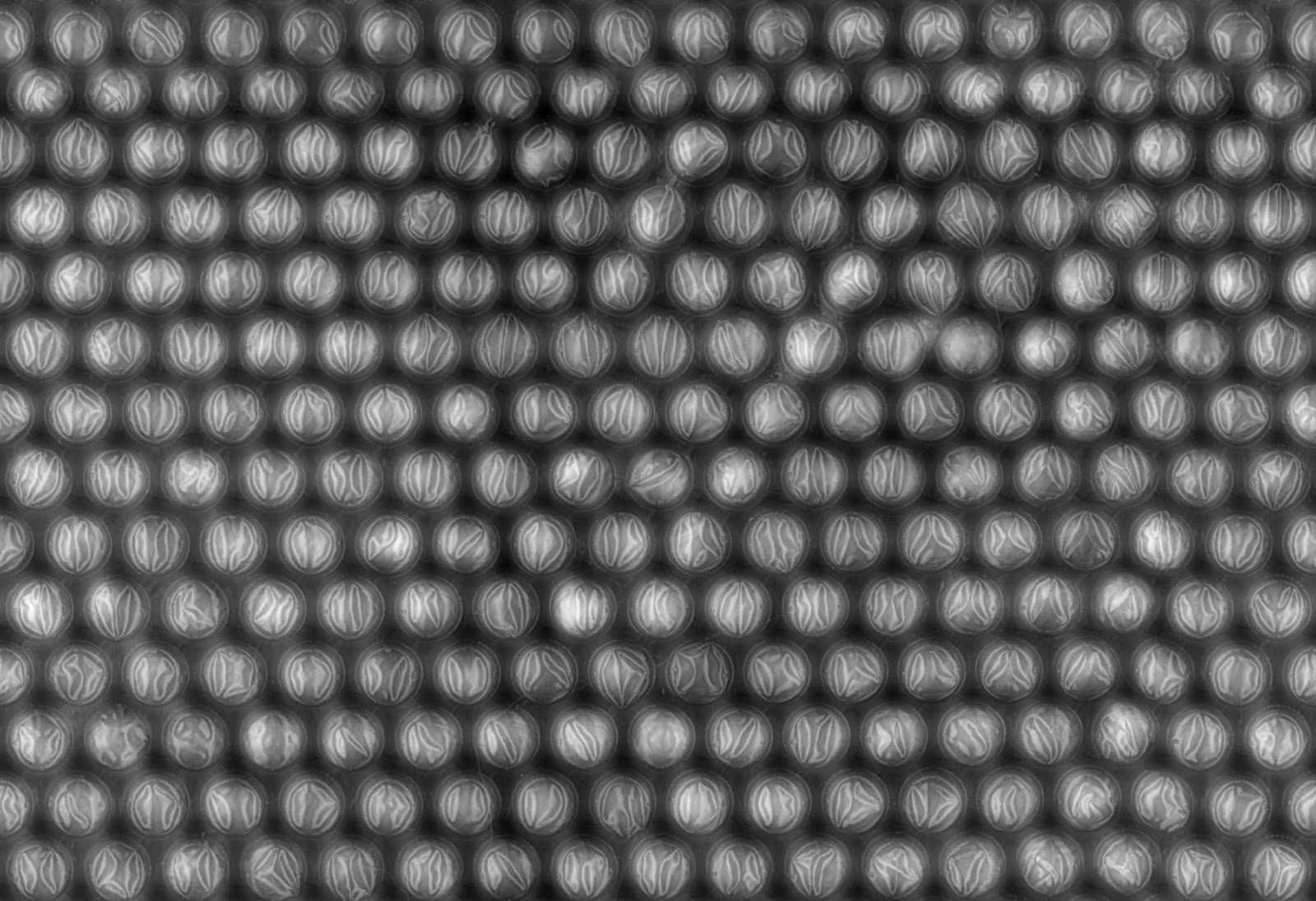 Seamless Blue Wrapping Plastic Bubbles + (Maps) | Texturise Free ...