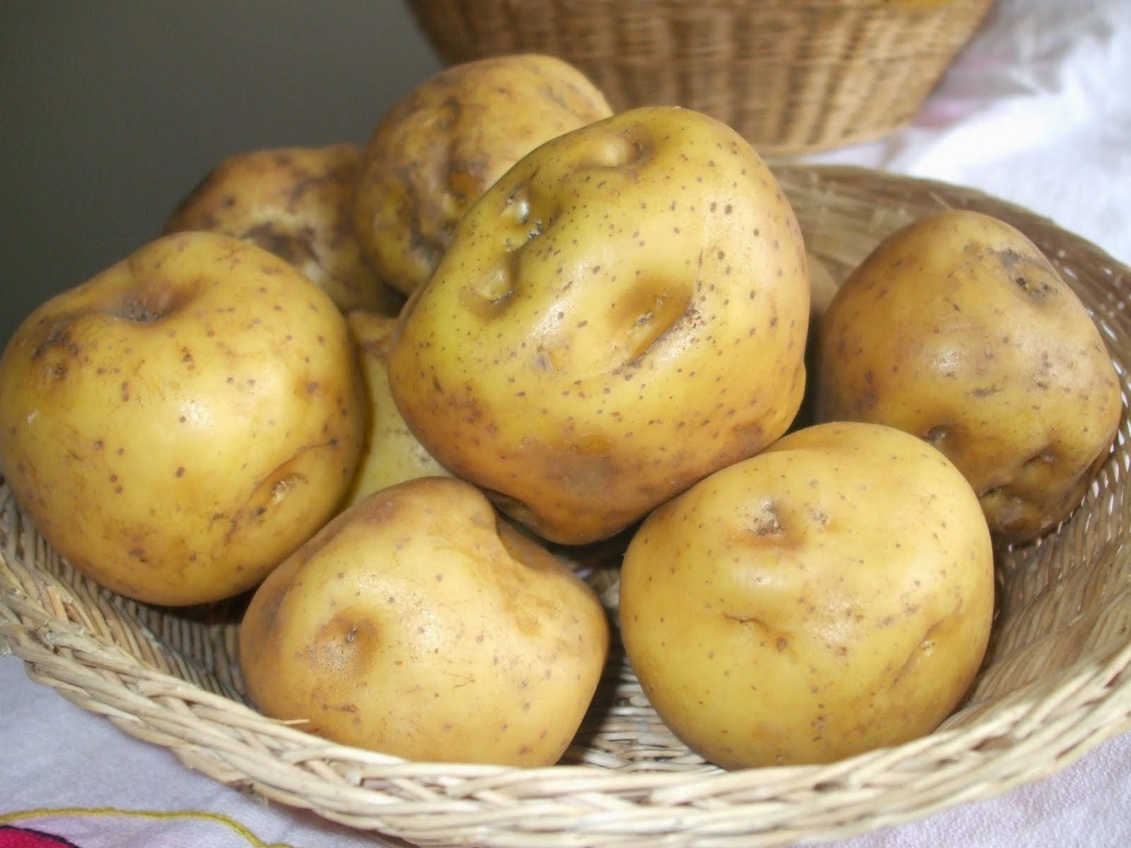 Nuestras Experiencias y Formación Profesional - PROMO "CARPE DIEM"