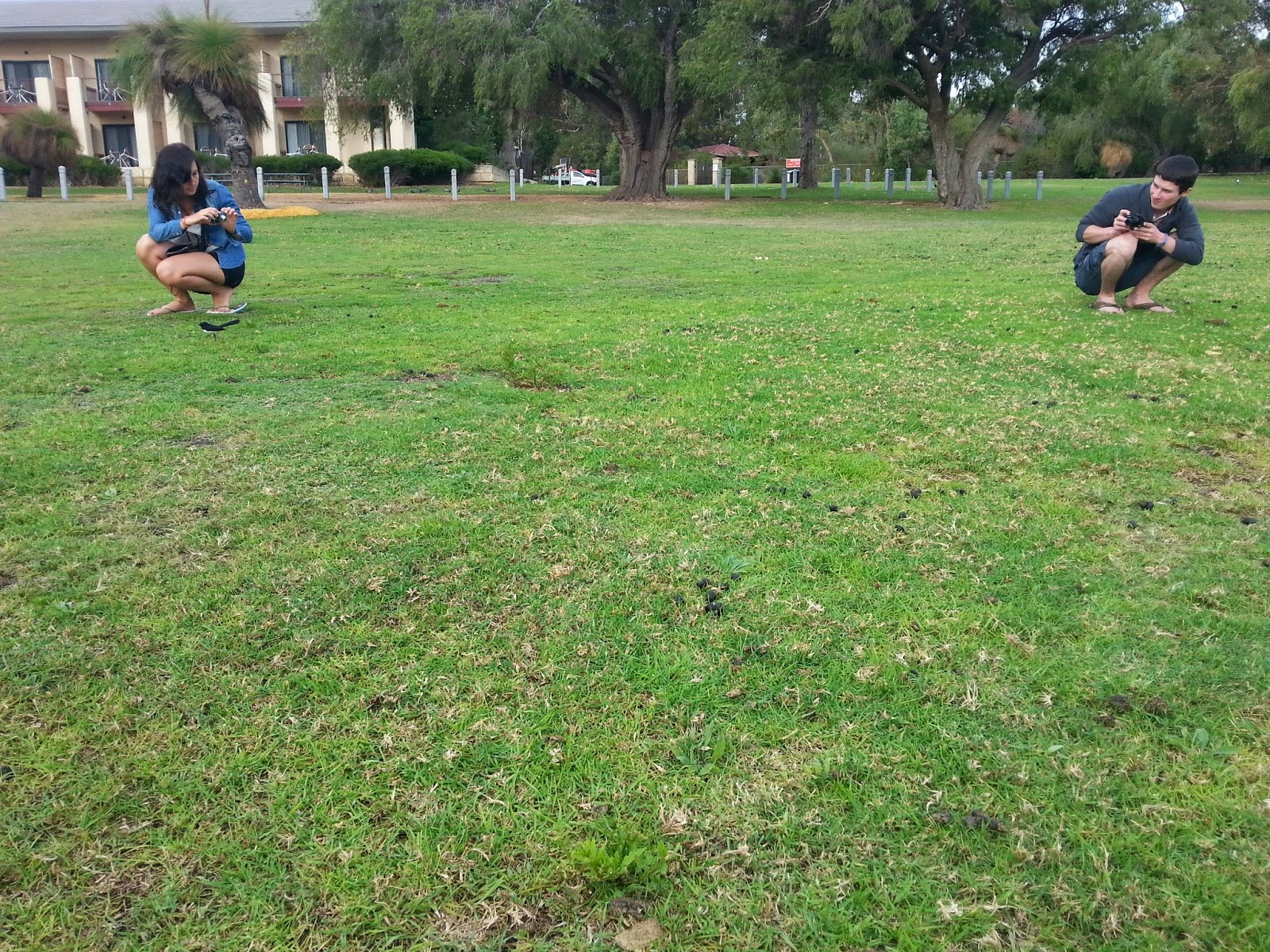 Beaux Rigènes : Back on the Road !: Joff-tchoff-tchoffo-tchoffo-tchoff ...