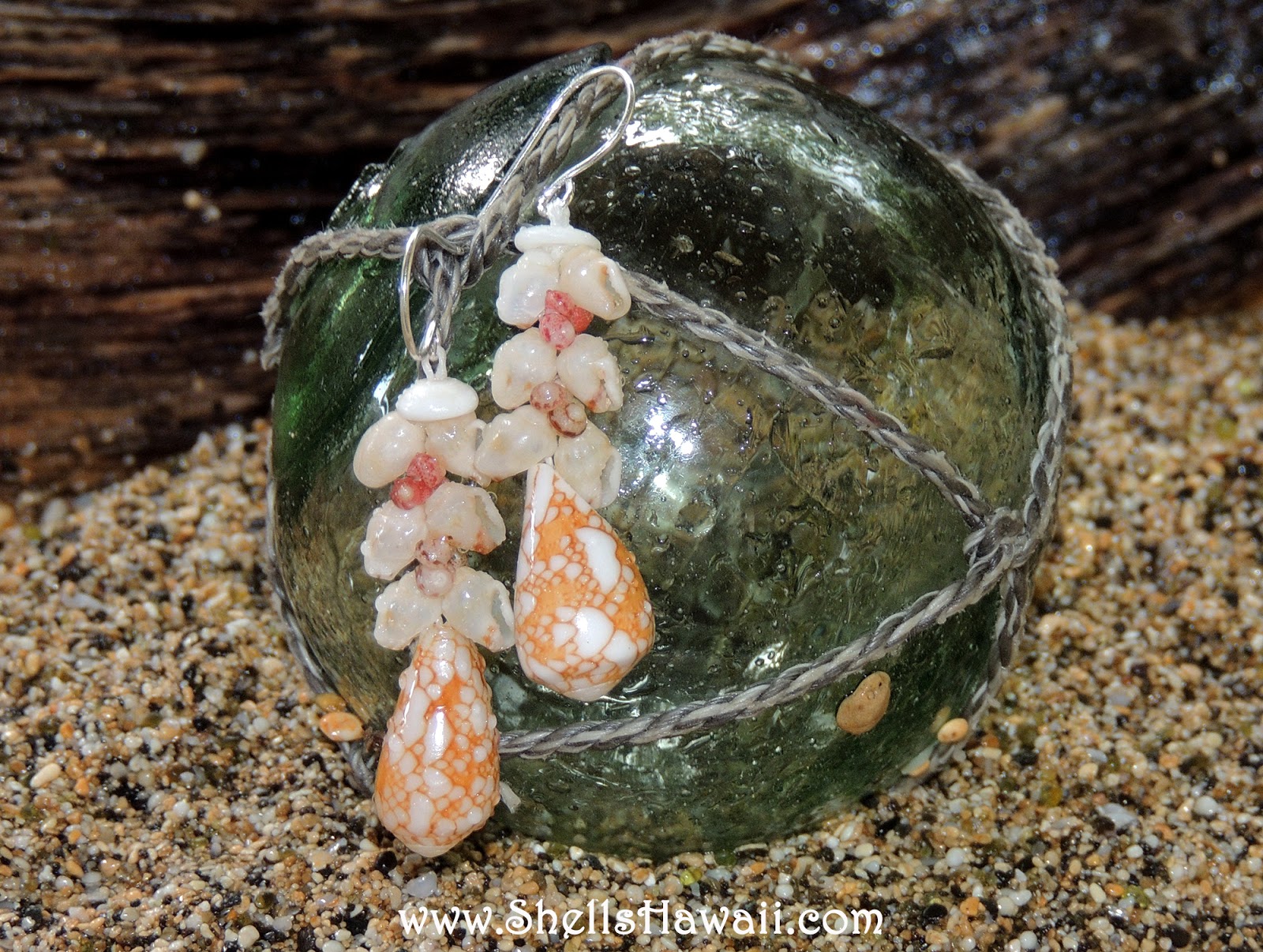 ShellsHawaii ...by Janjira: 2015