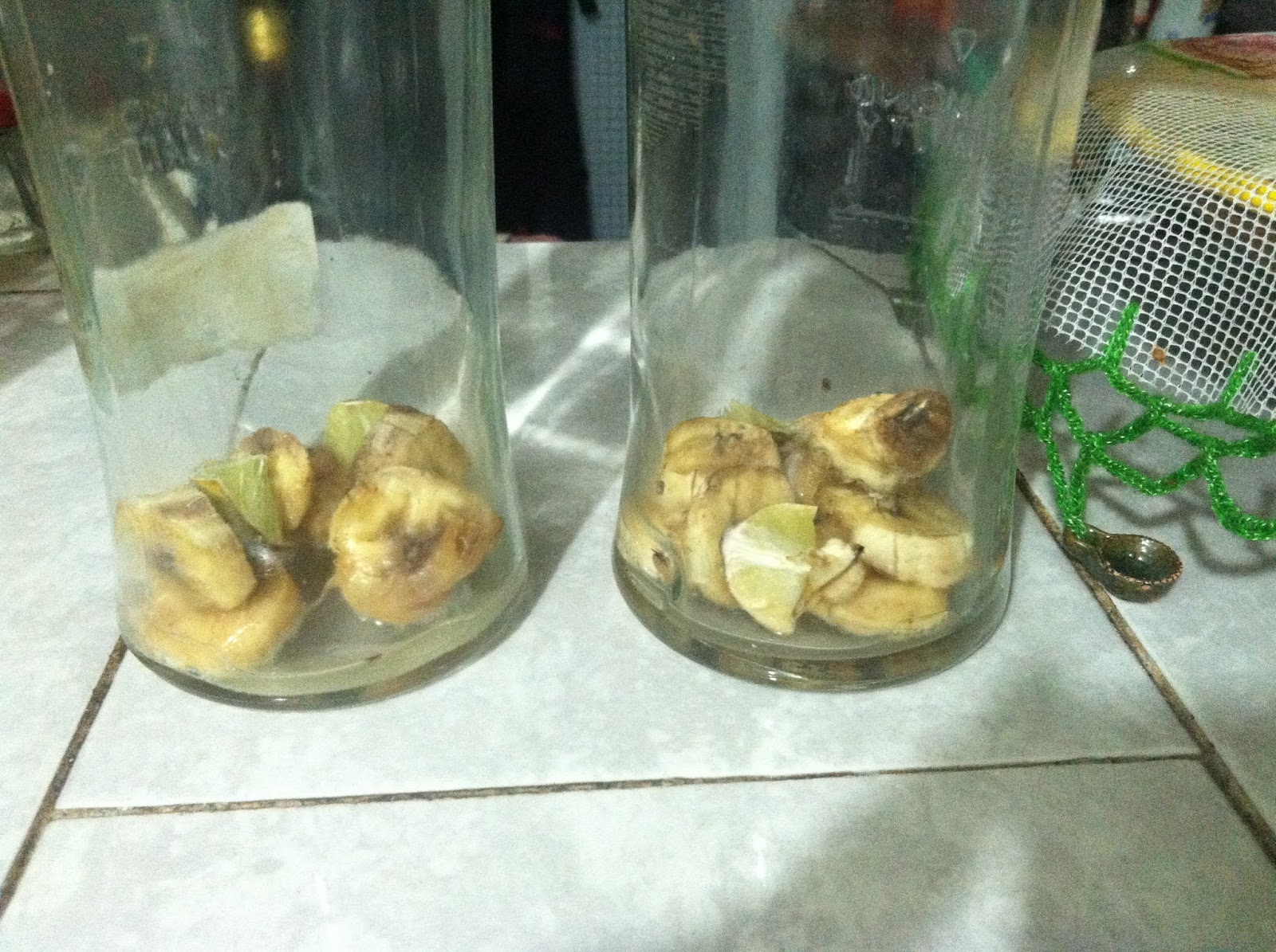 Experimento de Redi: La generación espontánea : Bienvenidos al ...