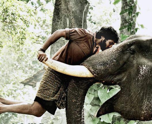 Make you Smile: Kumki Review