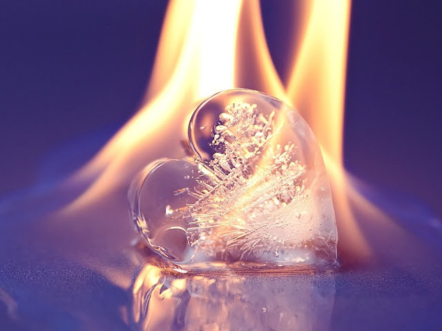 14 Stunning Macro Photography of Fire | ALL PHOTOZ