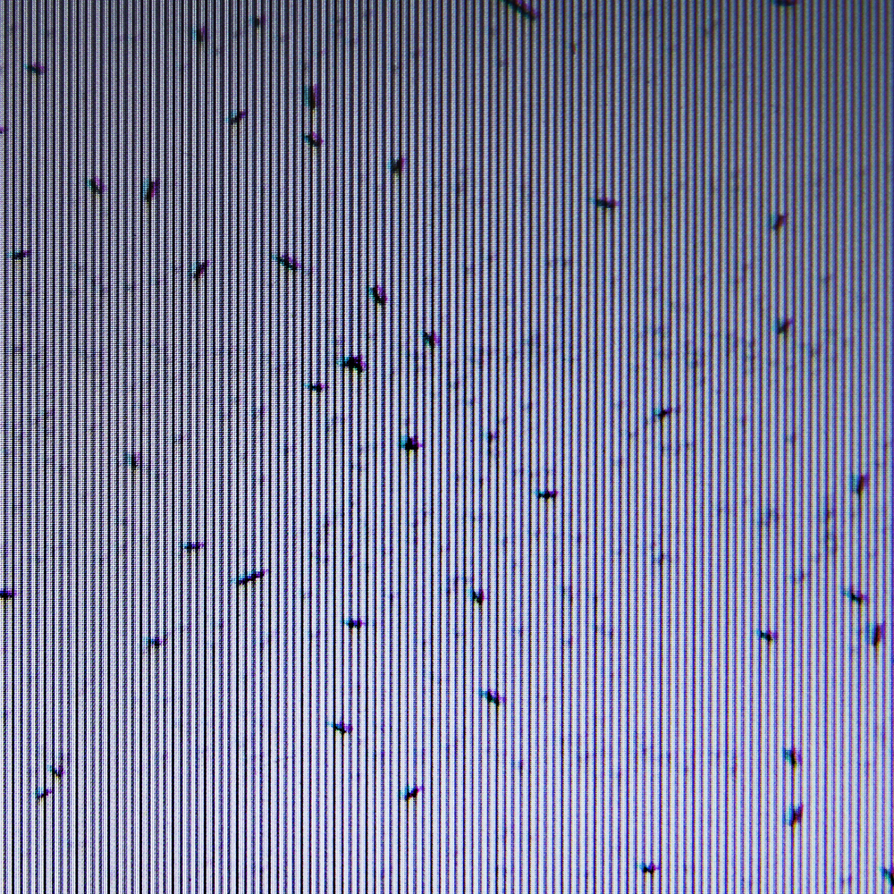 Choi, Jung Wook: Texture Reciever