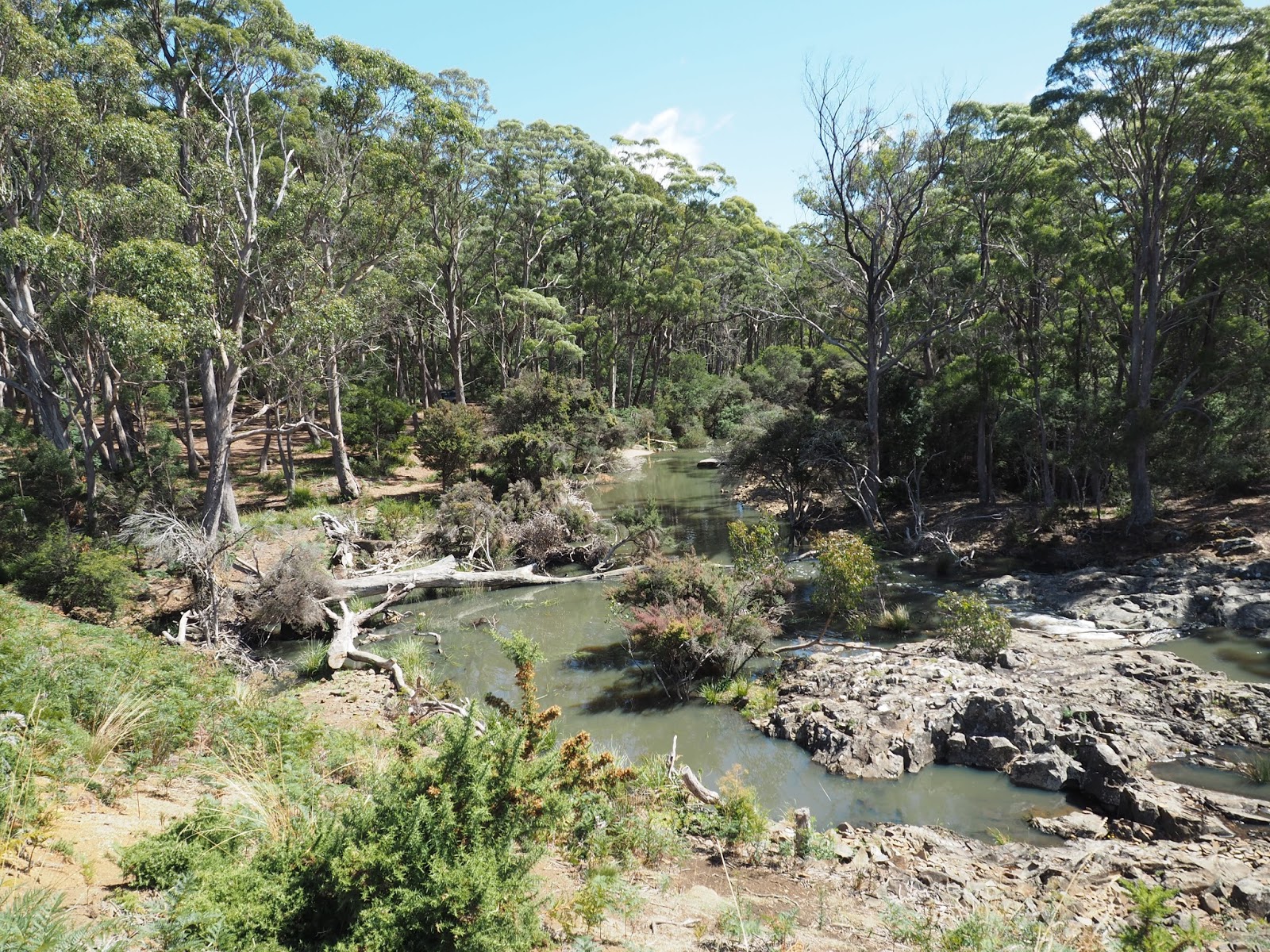 Tooms Lake | Hiking South East Tasmania
