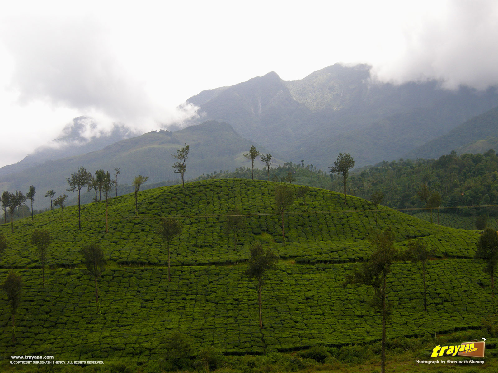 Wayanad, a serene hill station in Western Ghats of Kerala - Trayaan