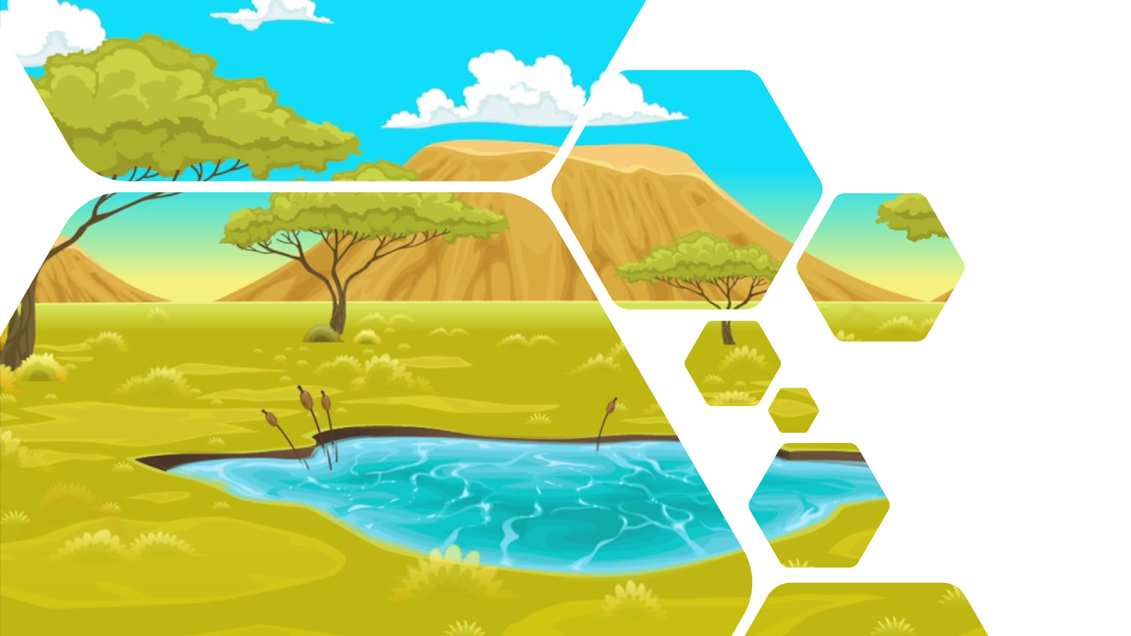 Regiones naturales del mundo : Características físicas.