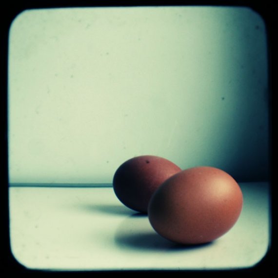 best photos 2 share: Eggcellent Still Life Pictures with Eggs