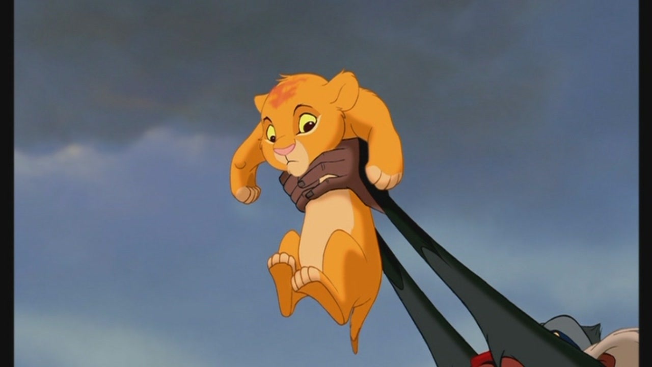 View topic - Simba's "Boys" - Chicken Smoothie