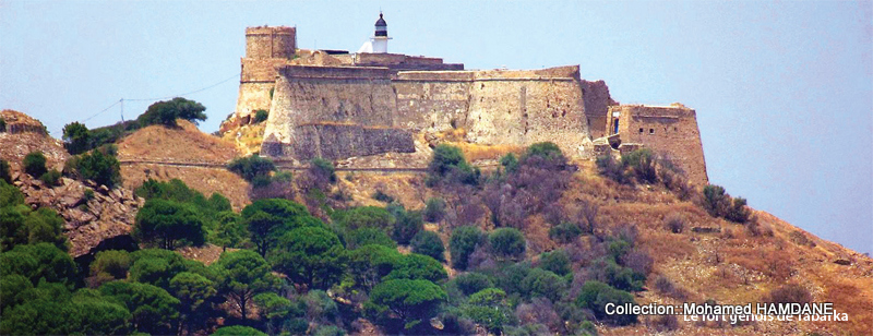 CULTURE et PATRIMOINE DE TUNISIE EN IMAGES- MOHAMED HAMDANE-ثقافة وتراث ...