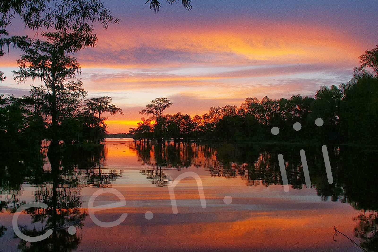 Louisiana Swamp Tours: Cool Autumn Swamp Tours