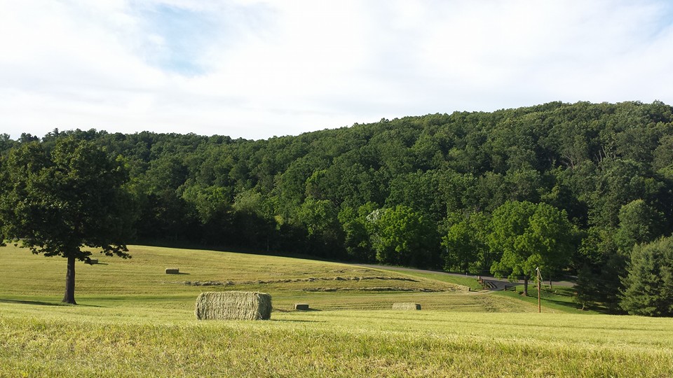 A Couple of Farmers At Maple Lawn Farm: Farm Photos!