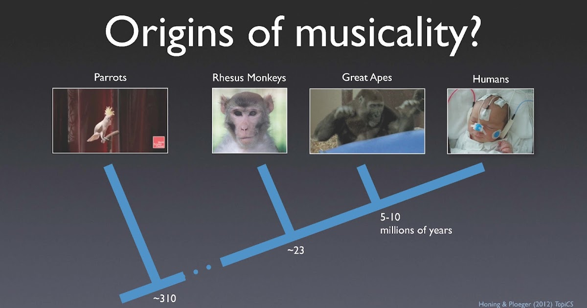 Music Matters | A blog on music cognition: Can the origins of music be ...