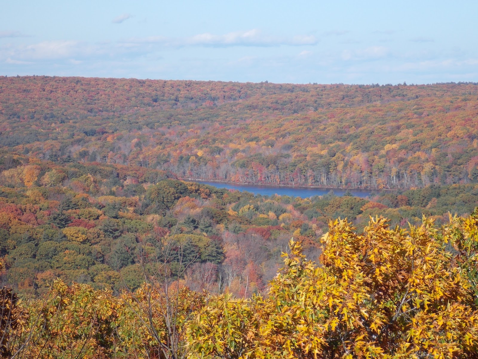 Adventures for Anyone: The Best of My Fall Photos...In Connecticut!