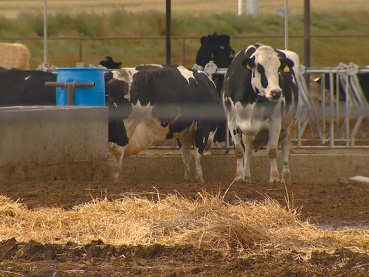 MEC&F Expert Engineers : OSHA fines Sunrise Organic Dairy in Idaho ...