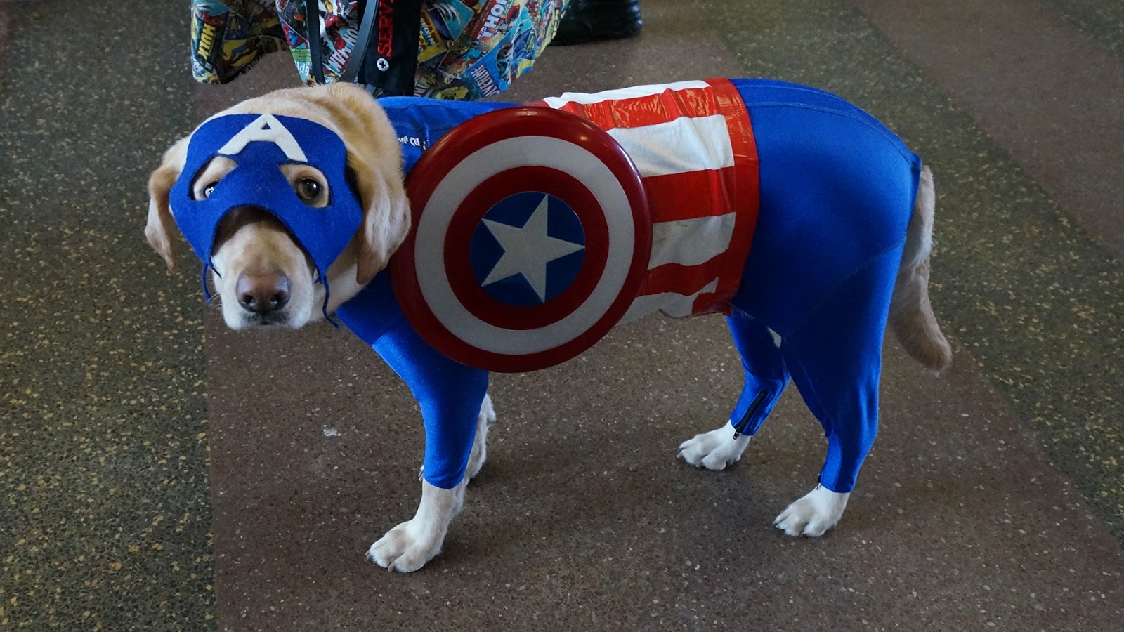 Frankie's Apartment: Captain America