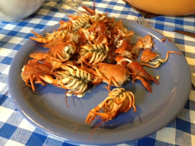 Rainbow in the dark: Raci....."the raci"!!! Adica mancare din balta ;)