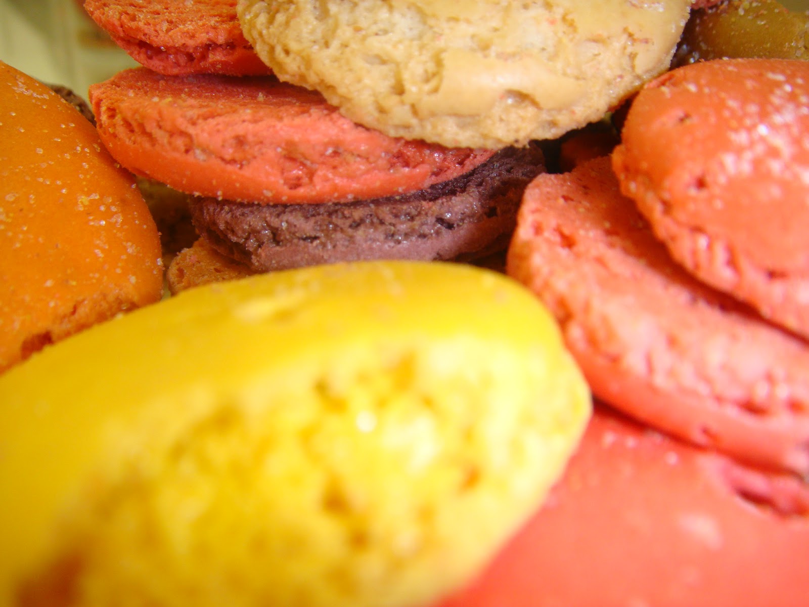 Expat with Kids in Paris: Parisian Macaron tour à la carte