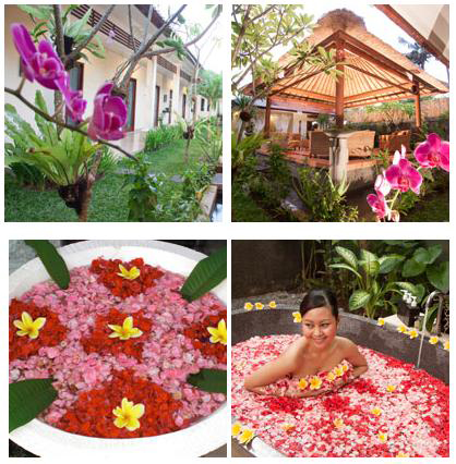 Bali Orchid Spa | baliholi
