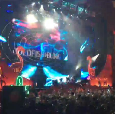 News Philippines | Philippines News Update: Five Dead at Close Up ...