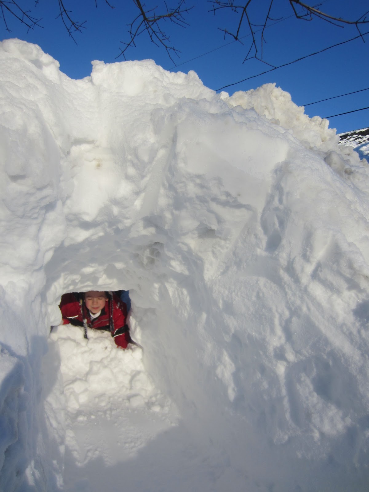 Relaxshacks.com: Massive Snow Fort/Igloo Photo from the Boston Blizzard '13