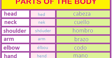 Aprende inglés: Parts of the body