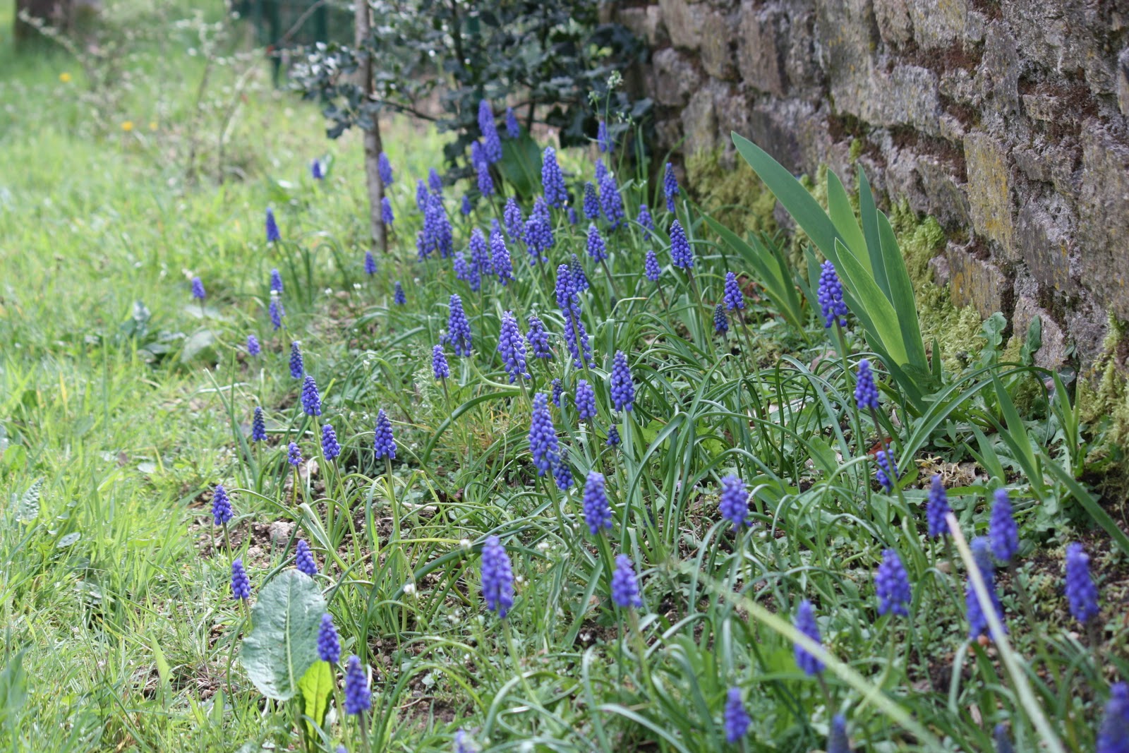 Livingin22: 2011-04-03