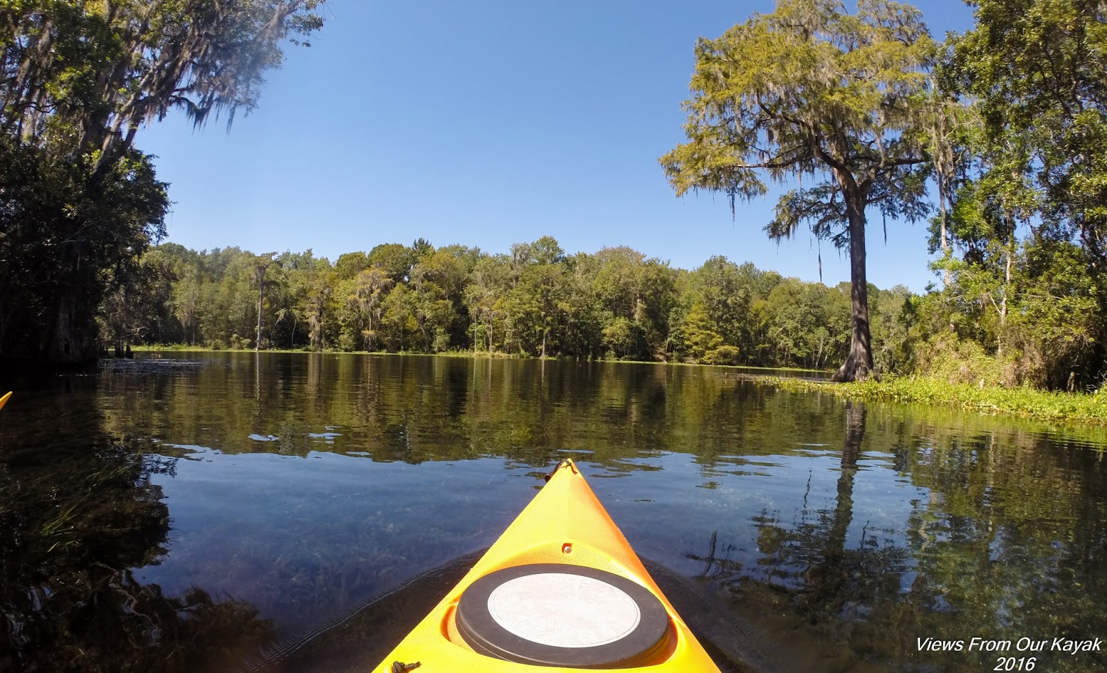 Views From Our Kayak: Wacissa River